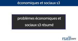 résume Problèmes économiques et sociaux s3 pdf - FSJES cours